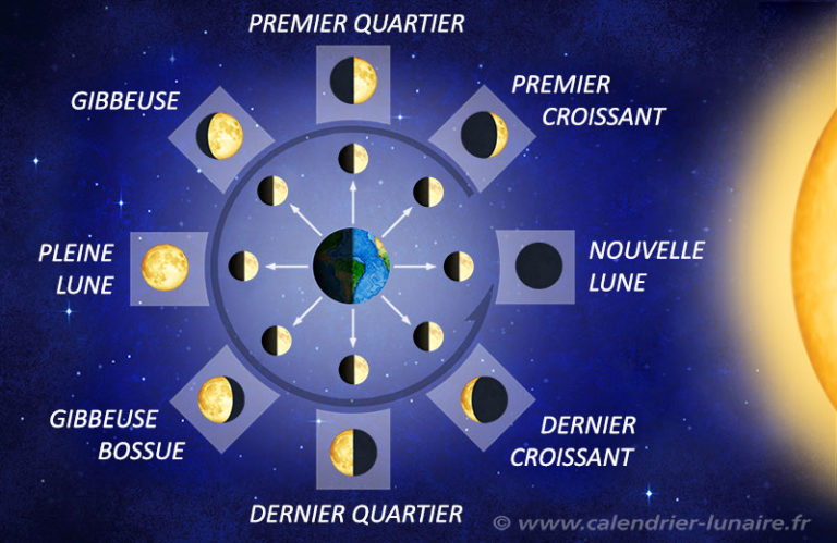 Les phases lunaires
