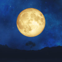 Calendrier lunaire - La Lune rousse